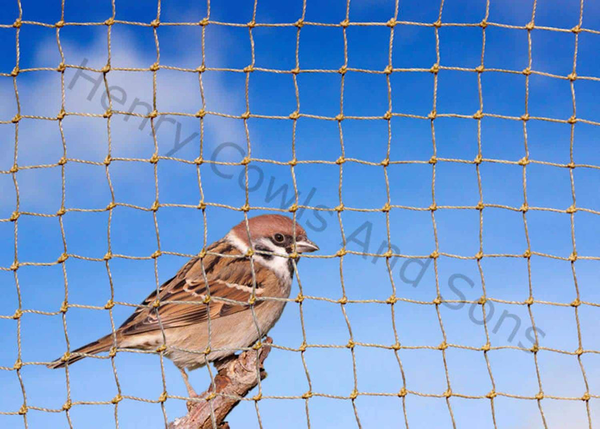 Sparrow Netting - Knotted 19mm - Henry Cowls