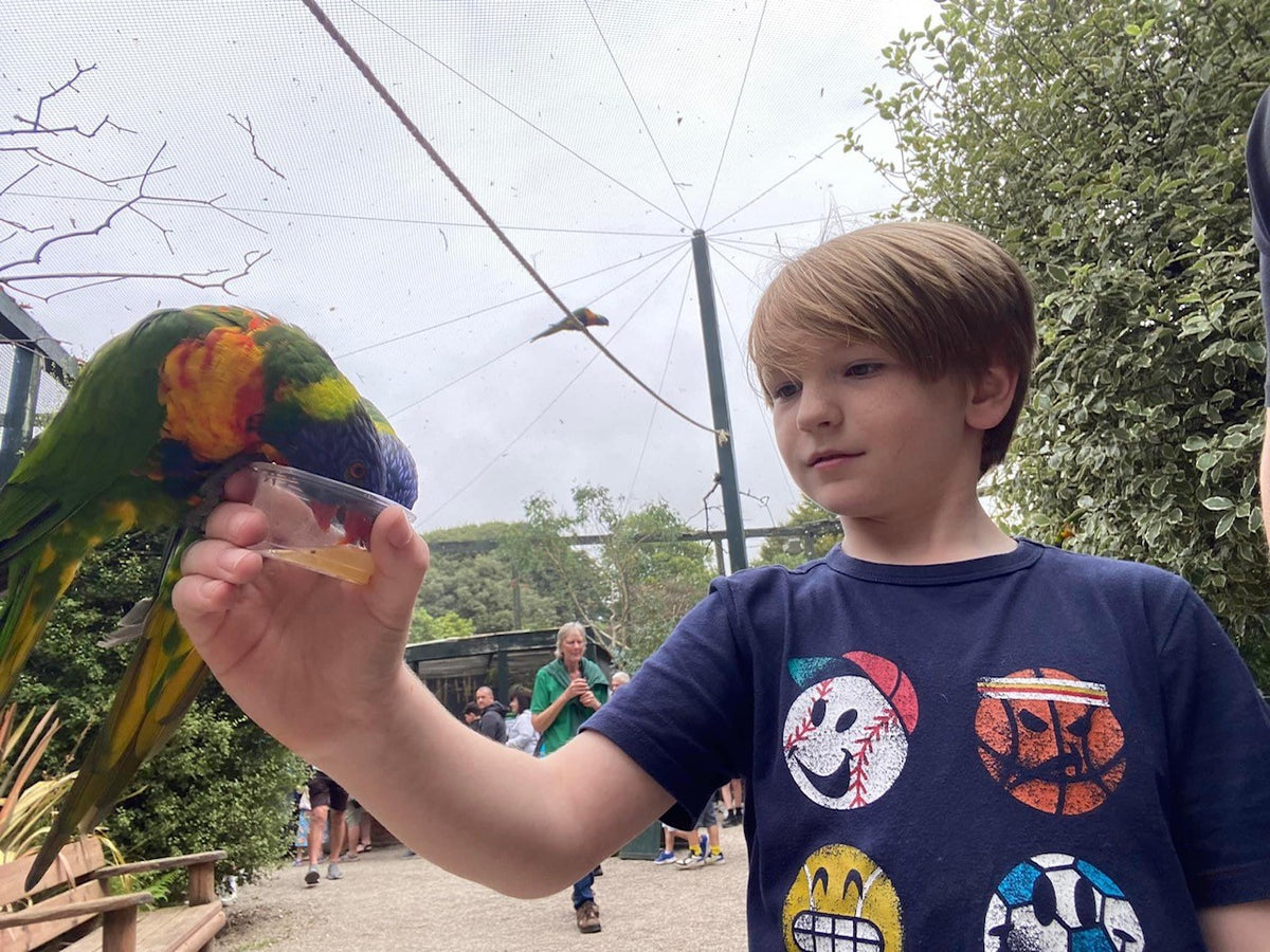 Aviary Netting - 28mm - Henry Cowls